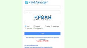 PayManager Rajasthan 2021 | Download Salary Slip | DDO/Employee Login ...